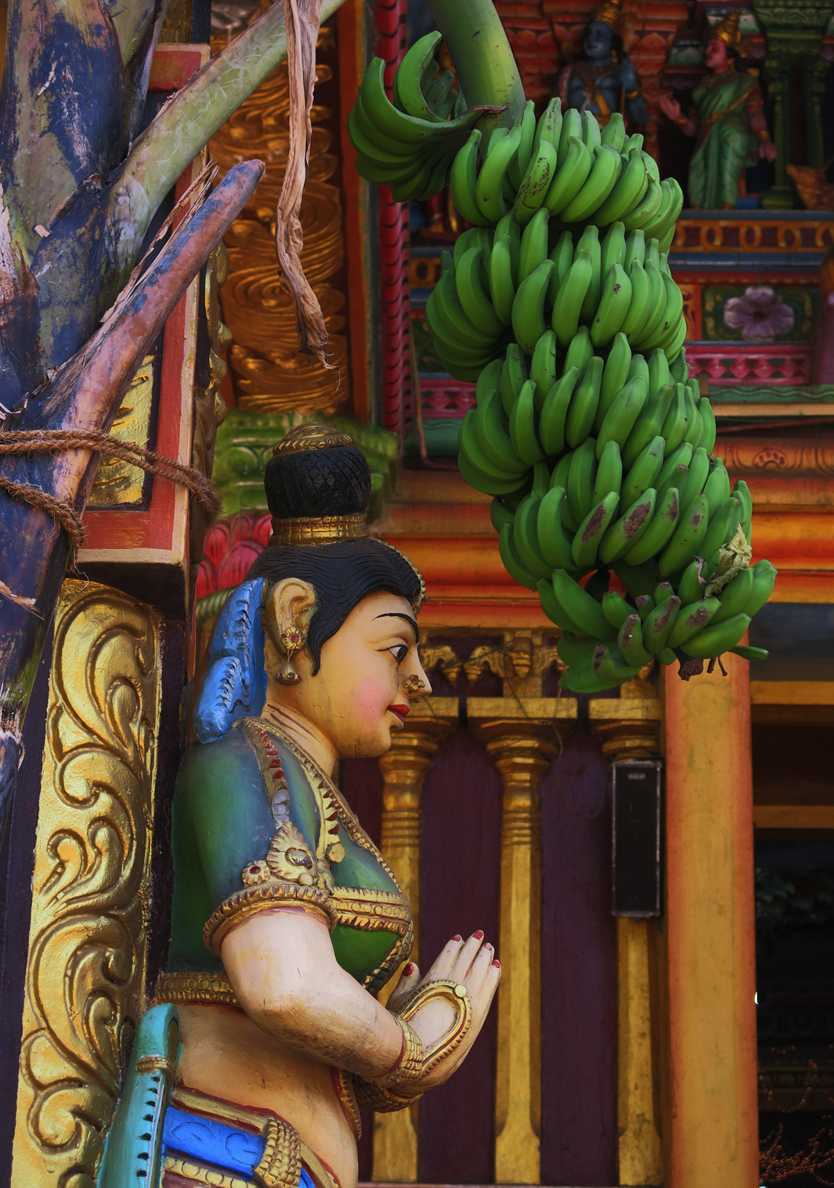 Sri Lanka and Environs - Slow Muse